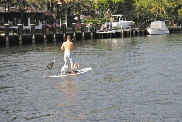 Gay Fort Lauderdale Florida The Essential Lgbt Travel Guide